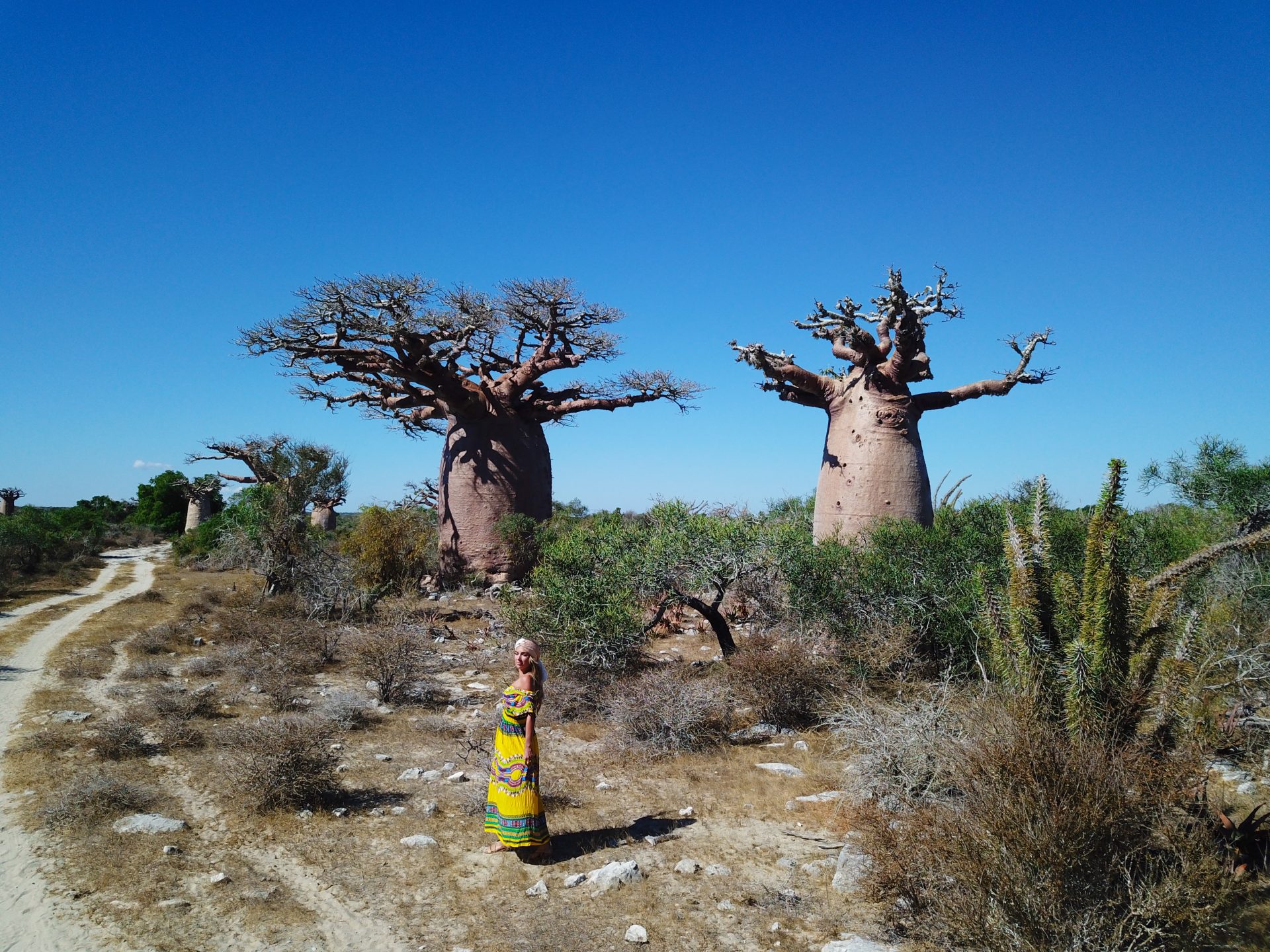 Madagascar Unfiltered Day 4&5: Mikea Beaches, Baobab Forest, Glamping ...