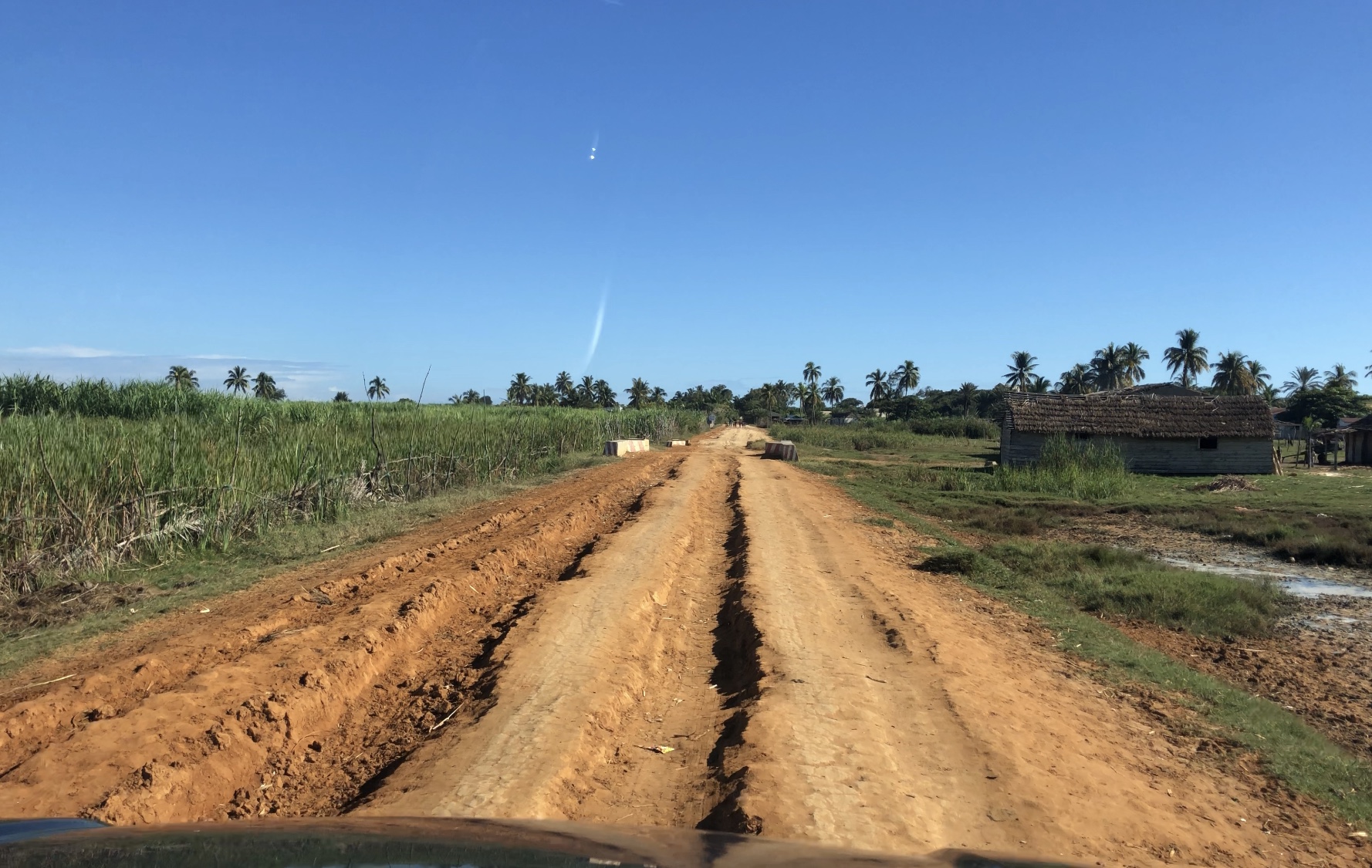 Madagascar Unfiltered Day 4&5: Mikea Beaches, Baobab Forest, Glamping ...