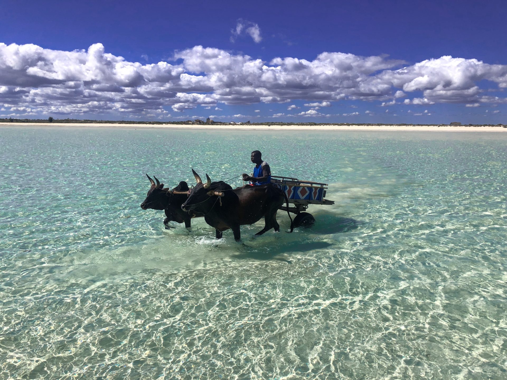 Madagascar Unfiltered Day 4&5: Mikea Beaches, Baobab Forest, Glamping ...