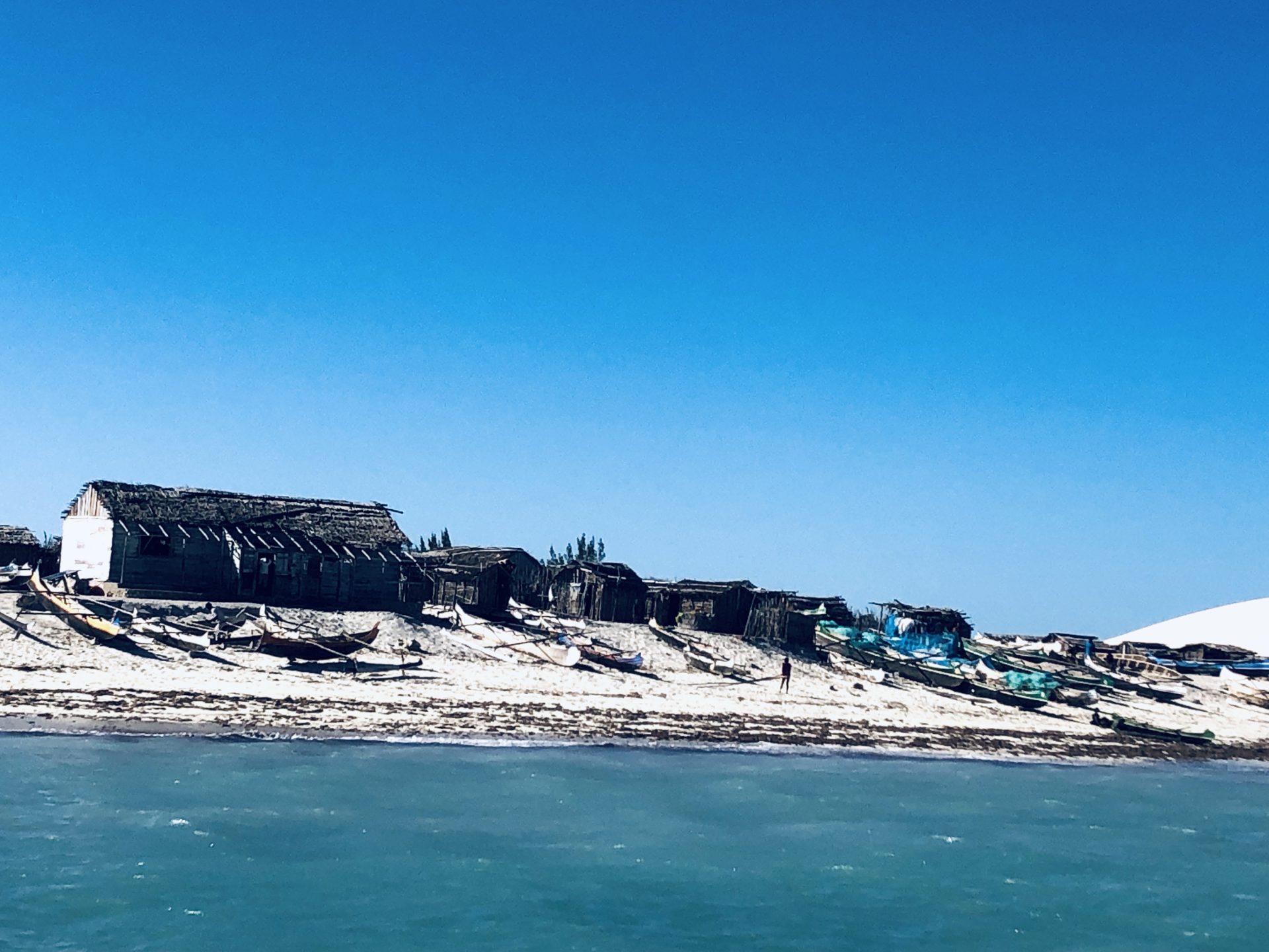 Madagascar Unfiltered Day 4&5: Mikea Beaches, Baobab Forest, Glamping ...