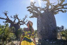 Madagascar Unfiltered Day 4&5: Mikea Beaches, Baobab Forest, Glamping ...