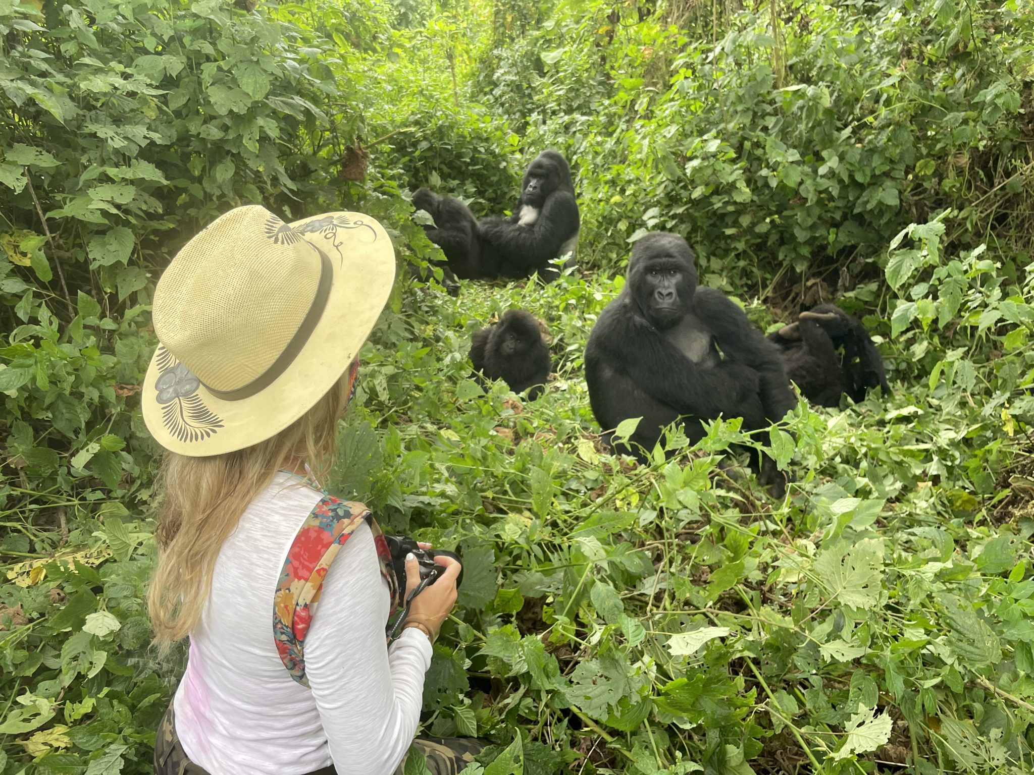 Ultimate D.R. Congo Travel Guide in 2021 | My Life's a Movie